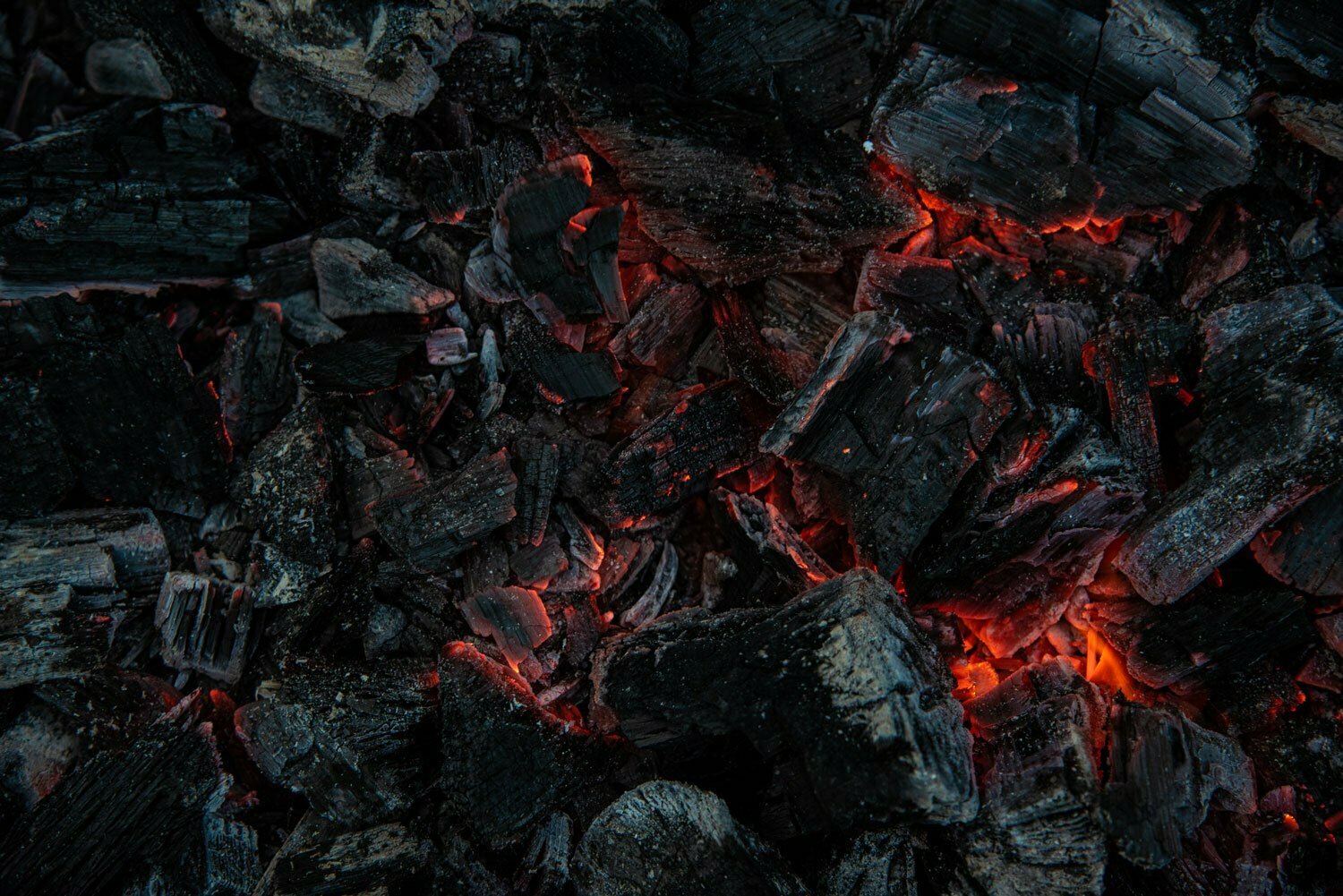 Camp Braai from OZ Braai | Shop Now